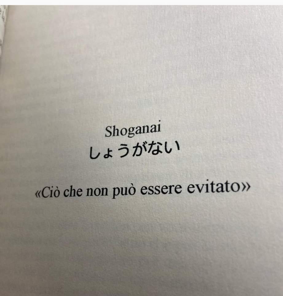SHOGANAI – ANTONELLA CARULLO